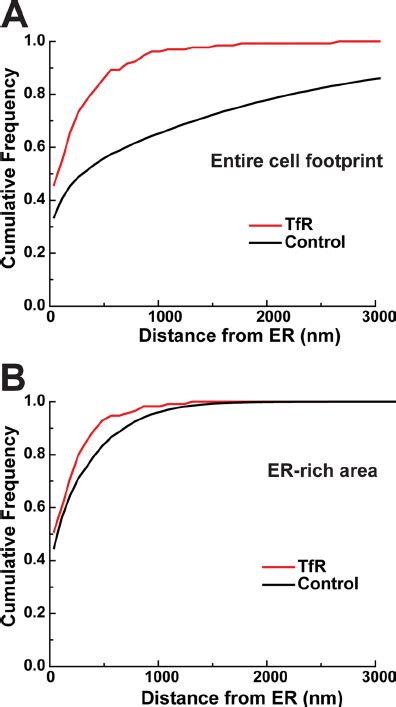 Euclidean Distance Mapping Analysis Of The Sites Of Tfr Exocytosis Download Scientific Diagram