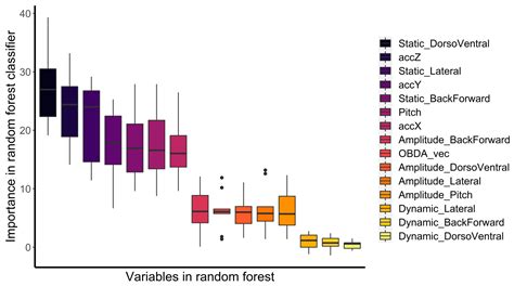 analysis of accelerometer data using random forest models to classify