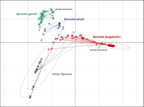 Principal Coordinate Analysis Pcoa Plot Of The Borrelia Genomes