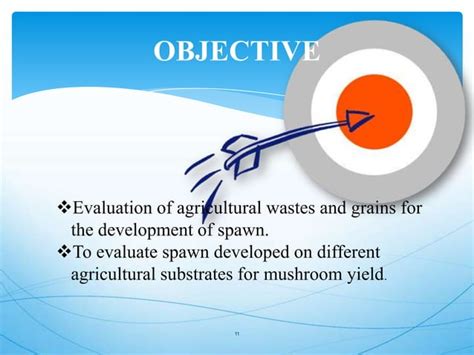 Substrate Evaluation For Spawn Production And Yield Of Oyster Mushroom