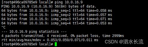 11 docker的网络 docker0的理解及bridge网桥模式的介绍与实例 csdn博客