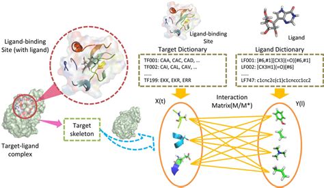 Fragment Interaction Model Fim Each Element In The Target Dictionary