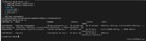 RabbitMQ部署指南使用docker部署 rebbitmq使用docker部署 CSDN博客
