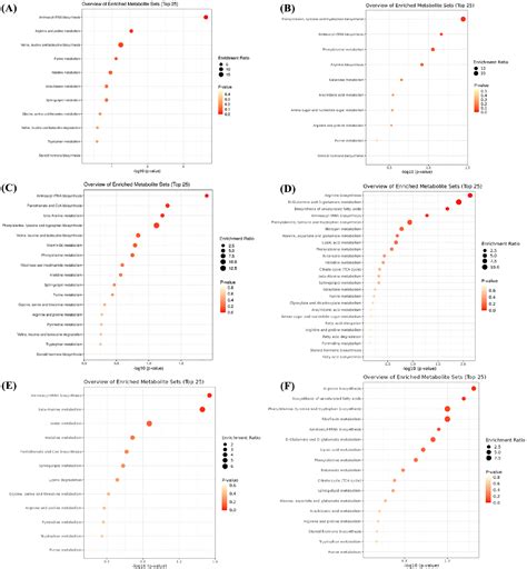 Figure 6 From Different Types Of Non Starch Polysaccharides Alter The Growth Intestinal Flora