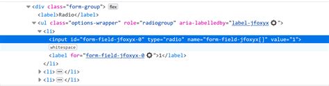 Solved Bricks Form Accessibility Issues Radio And Checkbox Bugs