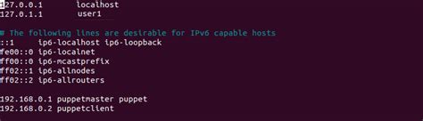 How To Install Puppet On Ubuntu And Phoenixnap Kb