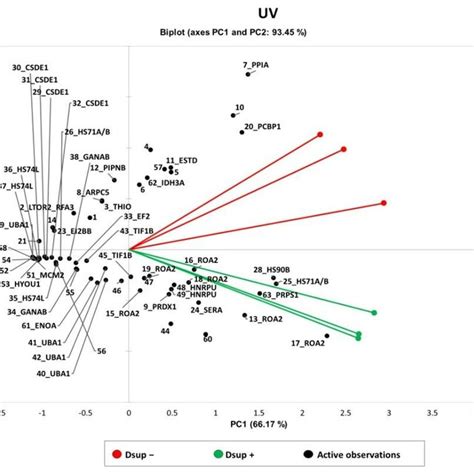A Heatmap Analysis Of The Differential Spots Found By Proteomic
