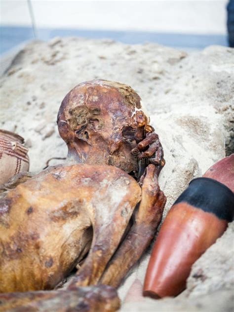 London Uk Gebelein Man One Of The Best Preserved Mummies Editorial