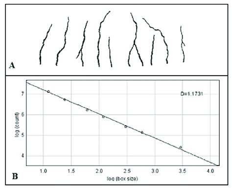 An Example Of Binary Image A And The Fractal Dimension Calculation
