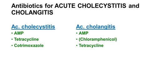 A Literature In English Ppt Video Online Download