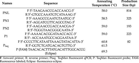 Primer And Probes For Mtdna D Loop Of Sichuan Taimen Download