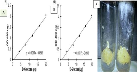 A D Glucose Standard Curve B Standard Curve Of Proline C Callus Image