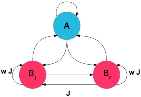 Subnetworks And Connections Between Them To Form The Full Network The