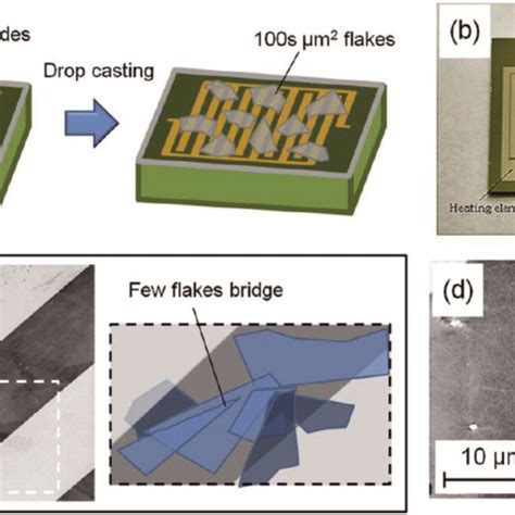 A Schematic Depicting The Device Fabrication B Patterned Substrate