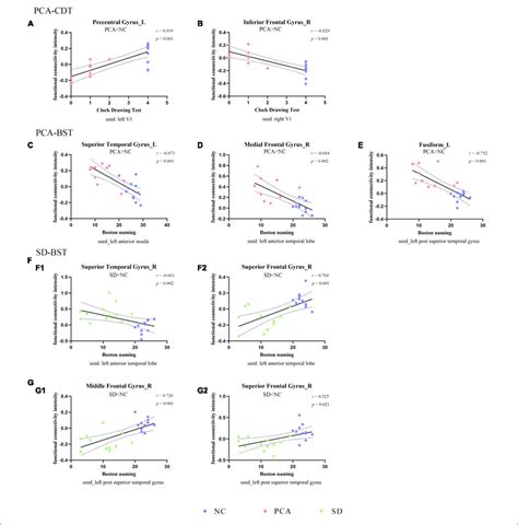 Correlation Between Functional Connectivity And Subdomain Of Download Scientific Diagram