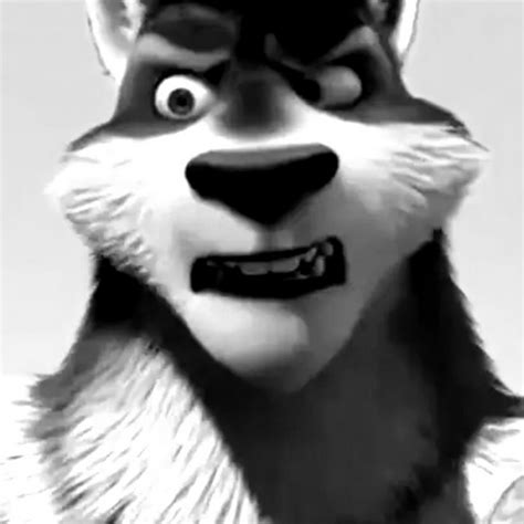 Youtube Qiroli Youtube