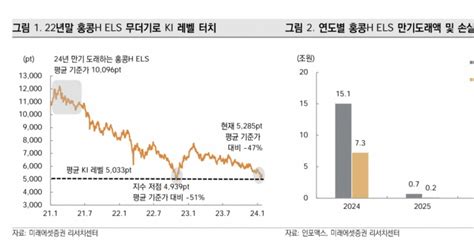 올해 홍콩h Els 손실 73조 채권시장 영향 미미 미래