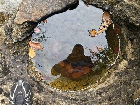 Auger Cam Model Free Live Sex Show And Chat Stripchat