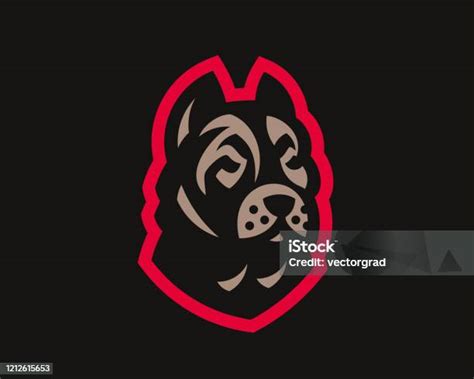 아메리칸 핏불 모던 로고 스포츠 및 Esport 팀을위한 개 디자인 엠블럼 템플릿 개에 대한 스톡 벡터 아트 및 기타 이미지 개 개념 개념과 주제 Istock