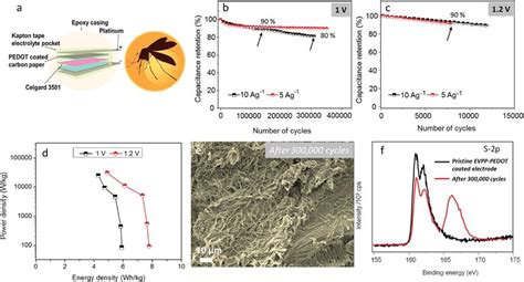 Electrochemical And Structural Analysis Of A Two Electrode