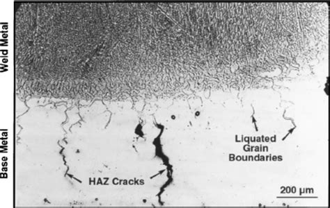 Still Photographs From The Movie Showing The Grain Selection Process