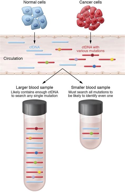 JCI Circulating Tumor DNA Current Challenges For Clinical Utility