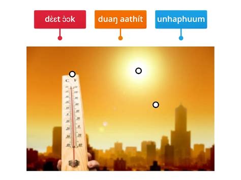 Labell The Picture Labelled Diagram