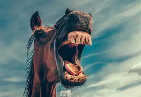 Wordpress 설정 Api를 사용하여 사용자 정의 관리자 페이지를 작성합니다 Word누르다 Phpcn