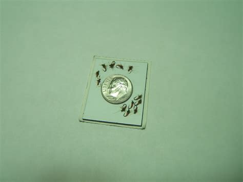 Rvrwader Fly Tying And Fly Fishing Itsy Bitsy Teenie Weenie Brassies