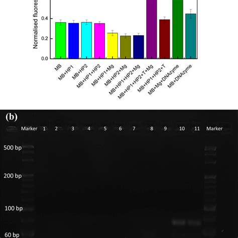 Selectivity Examination Of The Dnazymecha Based System Against Download Scientific Diagram
