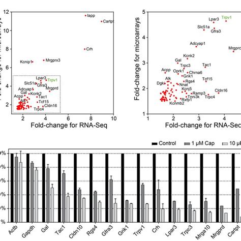 Validation Of Transcriptome Data A Correlation Of Fold Changes Download Scientific Diagram