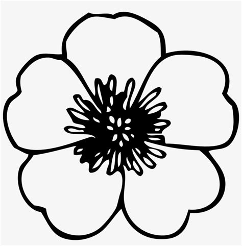 Cute Flower Clipart Black And White At Vanpeterblog Blog