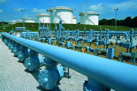 Piperine Has Thermogenic Properties That Increase Resting Metabolic Rate My Site