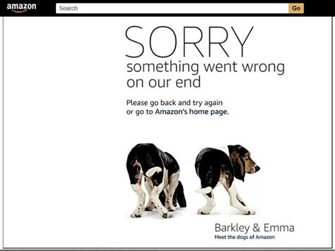 your website crashed now what