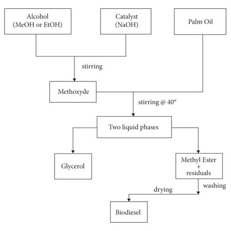 Schematic Diagram Of The Transesterification Process Download