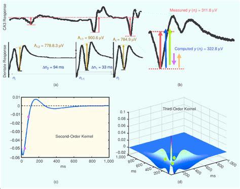 An Example Of Model Prediction A Top Waveforms Measured Ca3 Download Scientific Diagram