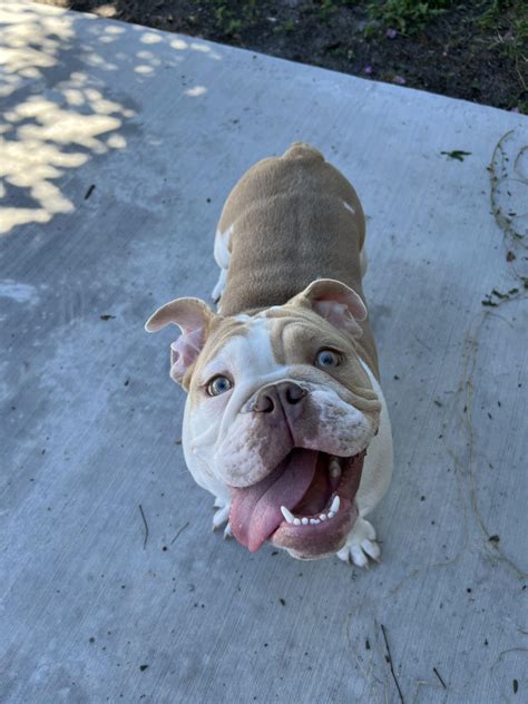 55 Best Udearemmi2265 Images On Pholder Faces Sfw Redheads And Sfw