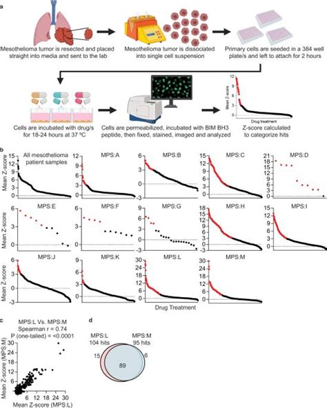 Center For Patient Derived Models Dana Farber Cancer Institute On Linkedin Dynamic Bh3