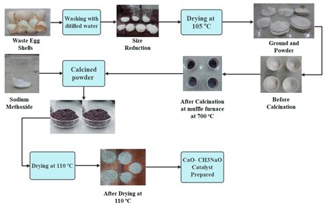 Enhancing The Catalytic Activity Of Eggshell Derived Cao Catalyst And Its Application In
