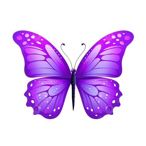 Borboleta Roxa Fofa Png Roxo Borboleta Tolet Png Imagem Para