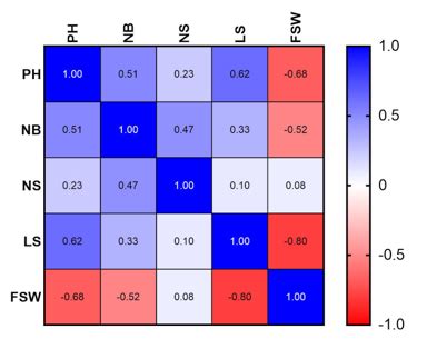 Pearson Correlation Matrix Showing The Relationships Between Different Download Scientific