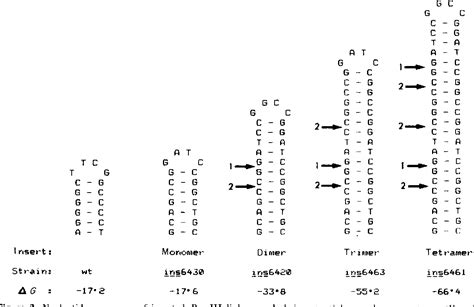 Figure 2 From Insertions Of Palindromic Dna Sequences Into The J F