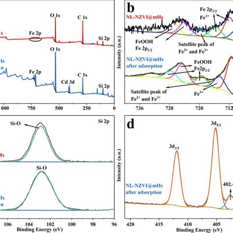 Before And After Cd Ii Adsorption Xps Spectra Of Nl Nzvi Mhs A Full