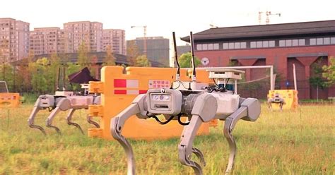 Search And Rescue Robots Successful In Trials