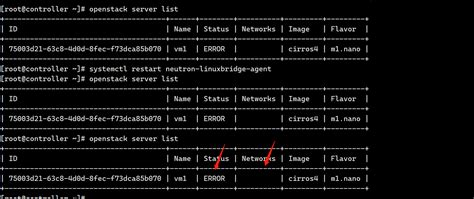openstack启动实例status显示error，networks显示空，怎么解决，有没有大神，求解决 csdn社区