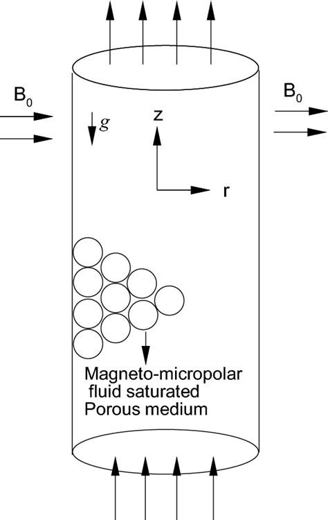 physical model and coordinate system download scientific diagram