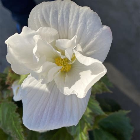 Pete Stringfellow As Some Of You Know Ive Been A Sports Coach For