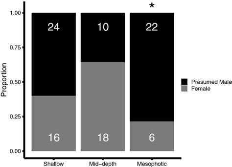Sex Ratio Of Montastraea Cavernosa Colonies At Shallow Mid Depth And