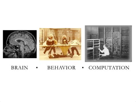 Distributed Cognition And The Social Web Ppt