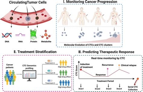 Potential Clinical Applications Using Ctc Derived Molecular Signatures Download Scientific